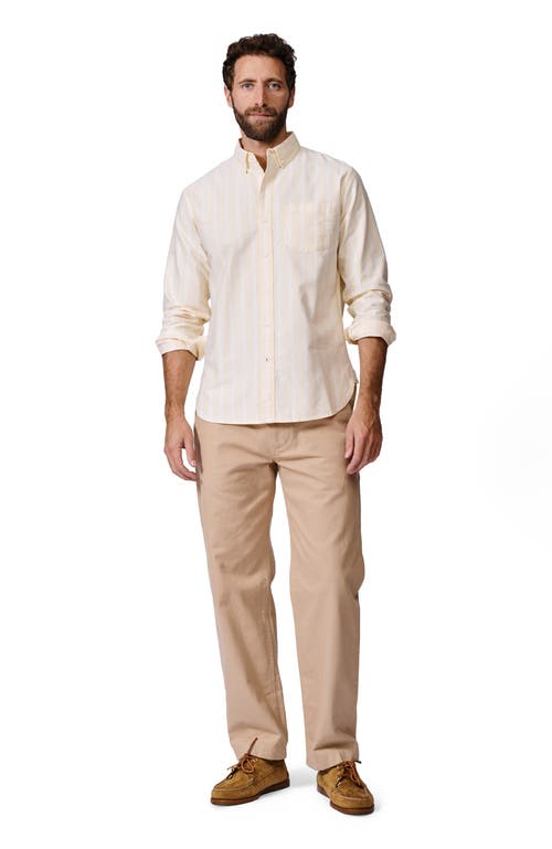 AUBIN aldridge oxford button down shirt